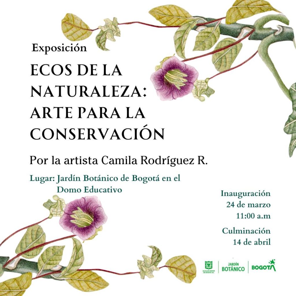 Ecos de la naturaleza: artes para la conservación, exposición de Camila ...